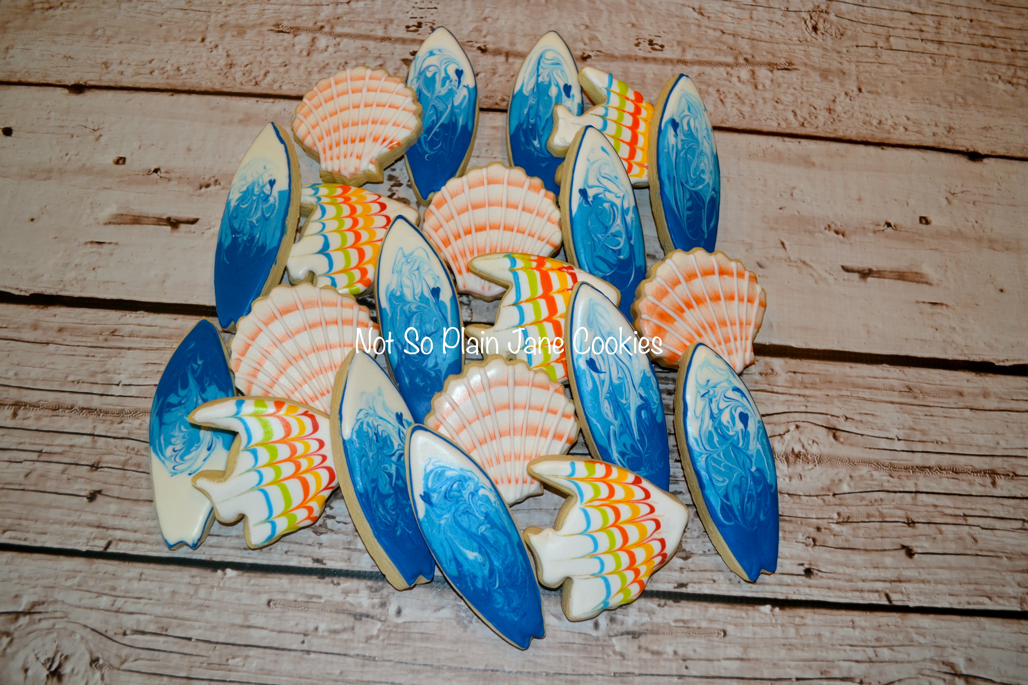 Not So Plain Jane Cookies – Not So Plain Jane Cookies