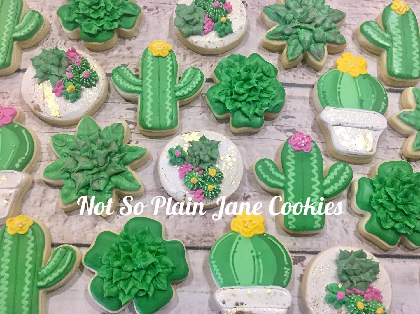 Welcome – Not So Plain Jane Cookies